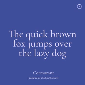 Top 10 Serif Google Fonts - Bravemark