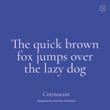 Top 10 Serif Google Fonts - Bravemark